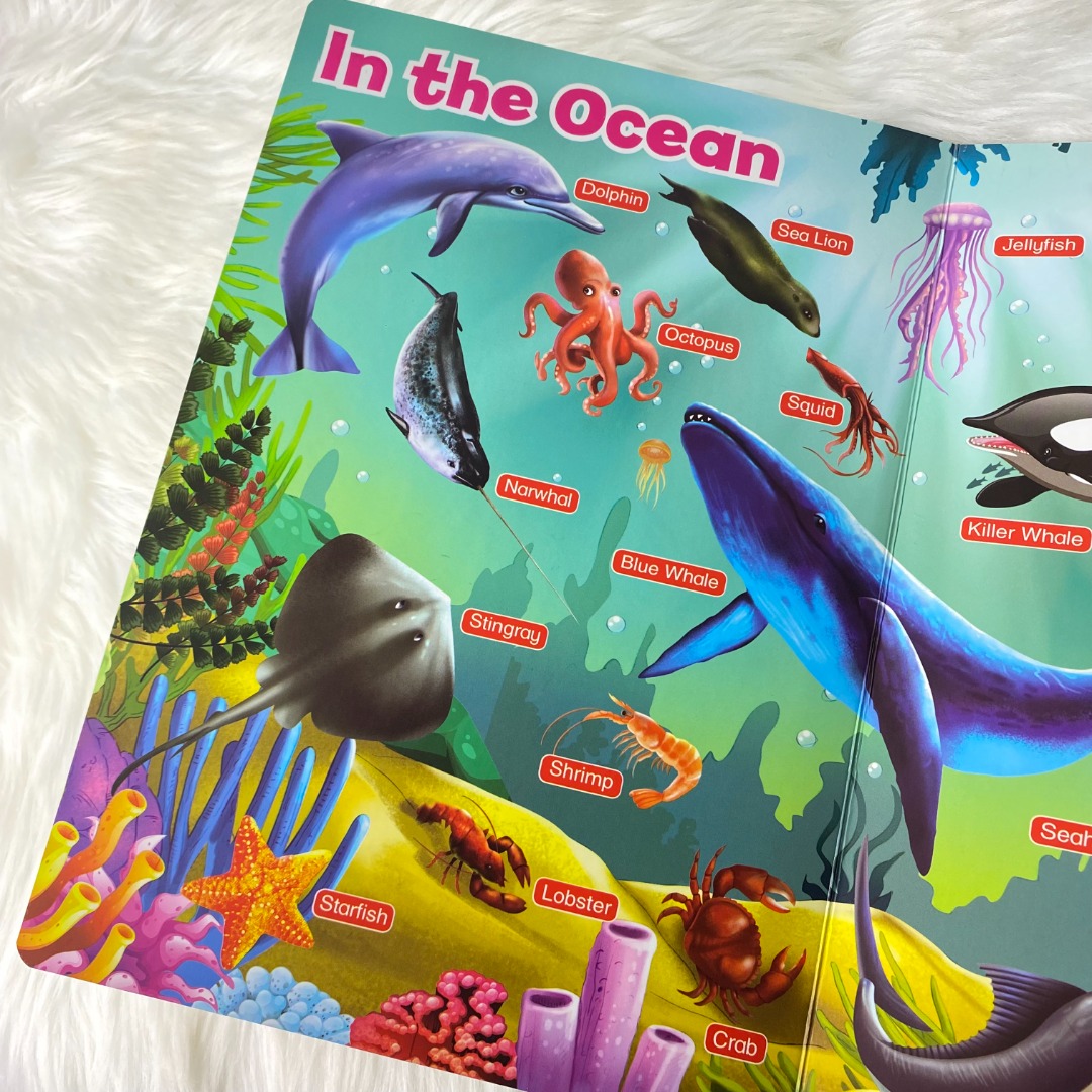 MY EARLY PICTURE BOOK (PURPLE) - MommyHappy